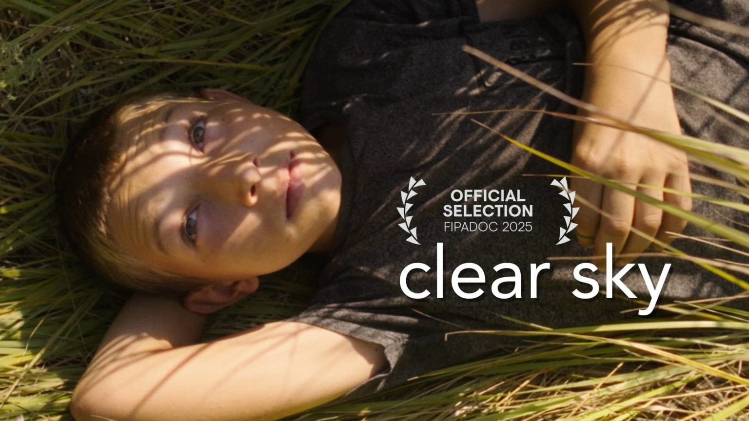 A carefully curated selection of short documentary films